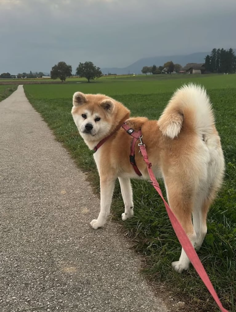 Maxi López presentó a la integrante de su familia que acompaña a ...