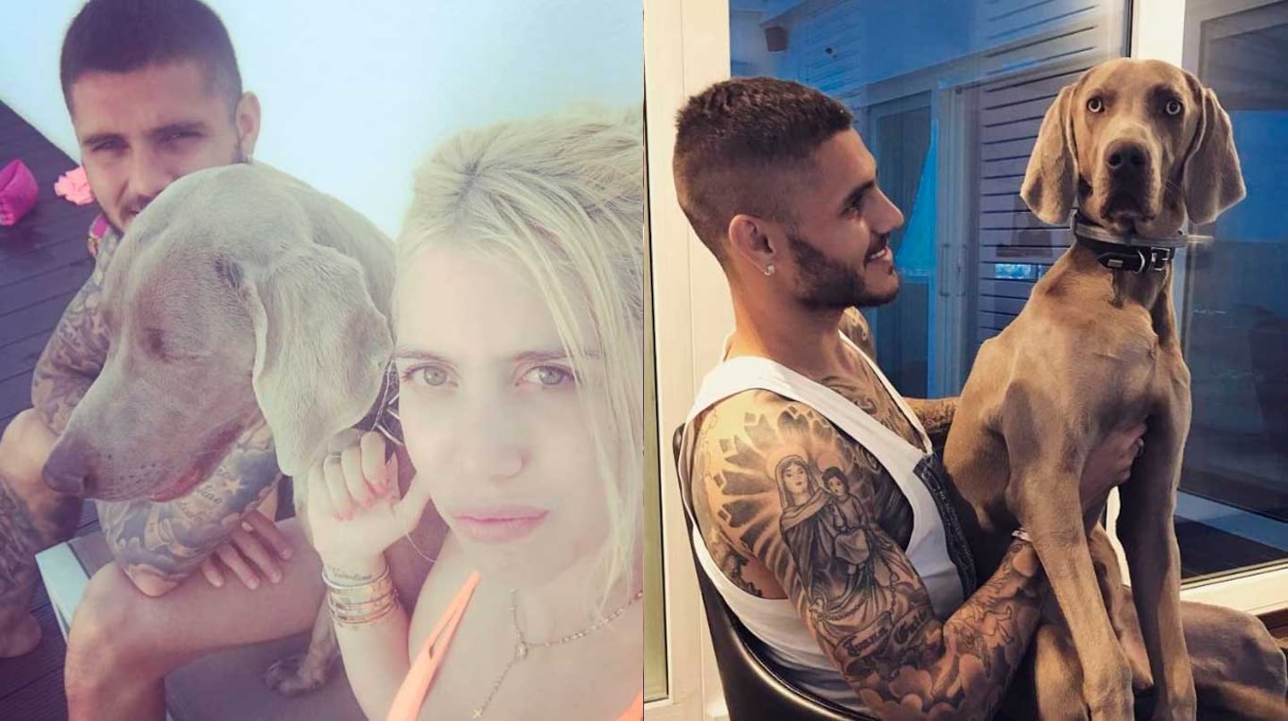 Wanda Nara reveló cómo fue que Mauro Icardi traumó a sus hijos al ...