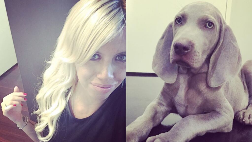 Wanda Nara tiene mascota nueva: ¿cómo se llama el perro y de qué raza ...